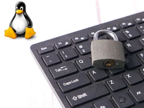 Cloak Dagger Computing Top Privacy Focused Linux Distros