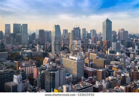 「霧の冬の東京の街並み、東京のスカイライン、オフィスビル、東京の繁華街、東京都港区（日本・港）は世界で最も人気の高い都市で、世界のビジネスの