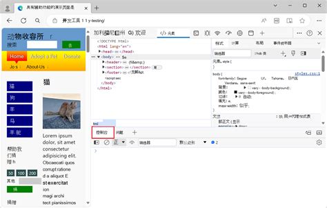 跟踪具有焦点的元素 Microsoft Edge Developer Documentation Microsoft Learn
