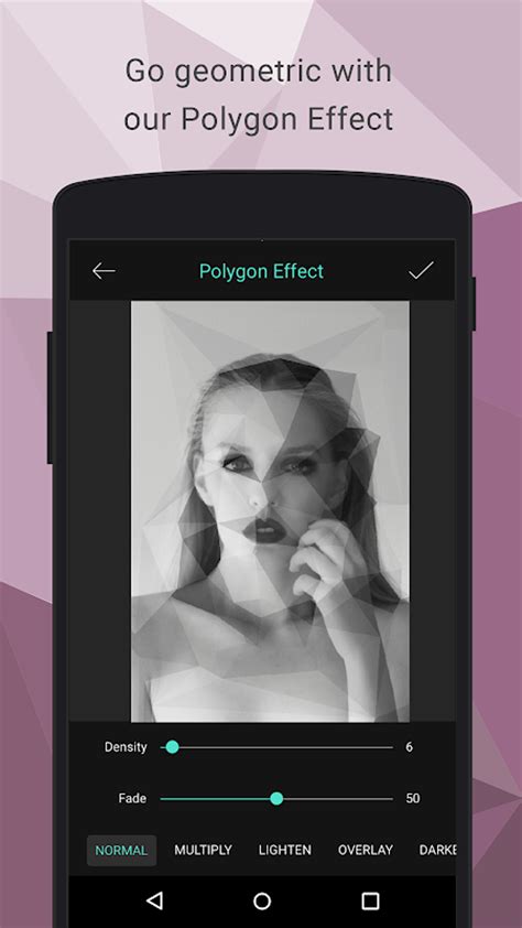 Polygon Effect Low Poly Art Apk For Android Download