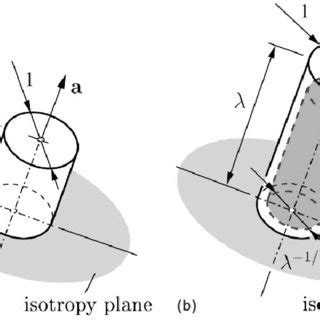 Physical Interpretation Of The Polyconvex Invariant Function I 1 I 1 3 Download Scientific