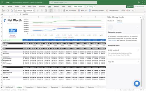 net worth template for microsoft excel tiller