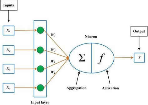 a single artificial neuron perceptron download scientific diagram