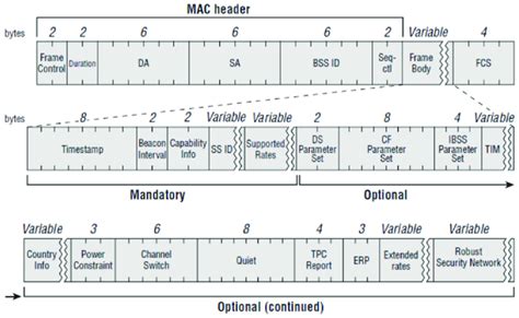 ieee 802 11 wi fi beacon frame download scientific diagram