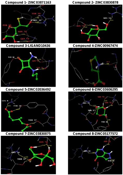 Binding Poses Of The Identified Eight Lead Molecules With Mtbadc The