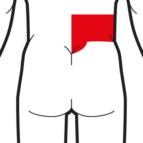 Trigger Point EBook Lower Back Hips Buttocks Groin