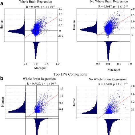 A Functional Connectivity Matrix Using The Markov Atlas In The Group