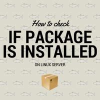 How To Check If The Package Is Installed On Linux Kernel Talks