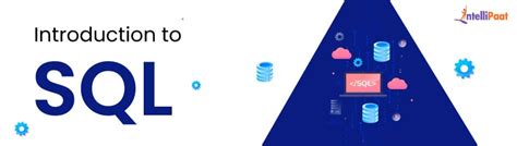 Introduction To Sql Sql Basics