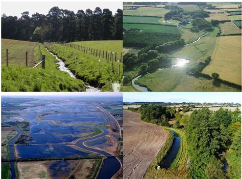 Riparian Buffer