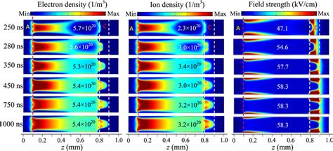 Spatial And Temporal Evolutions Of Electron Density Ion Density And