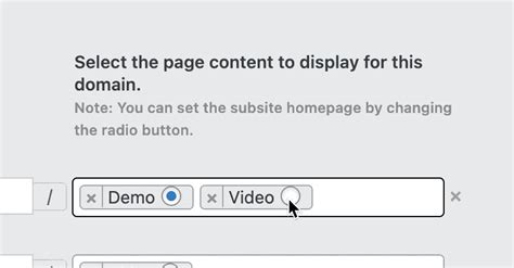 Domain Mapping System Map Multiple Domains To A Single Wordpress Site
