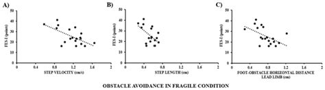 Correlation Between Fes I And The Approximation Phase Variables Step