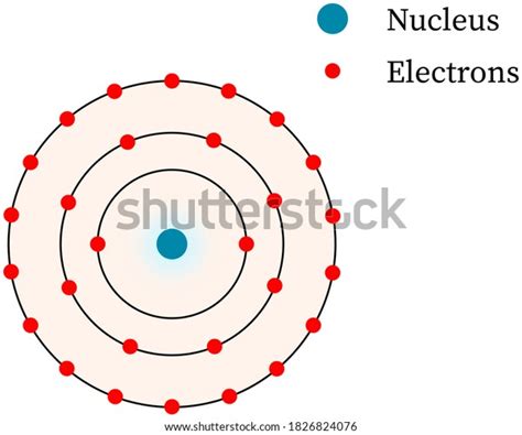 Shell Model Building Structure Images Stock Photos D Objects Vectors Shutterstock