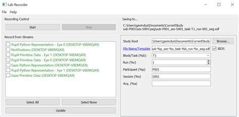 Lab Streaming Layer LSL Tutorial For Windows