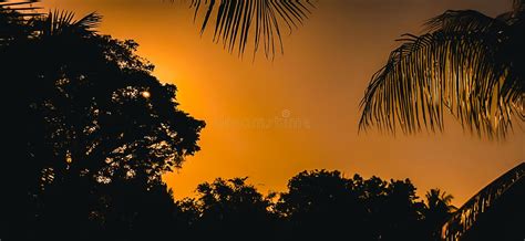 Silhouette Scenery Stock Illustration Illustration Of Horizon 257877832