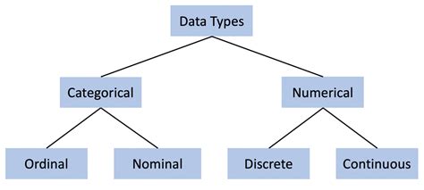 Types Of Data And Attribute Types By Marri Sarayu Apr 2025 Medium
