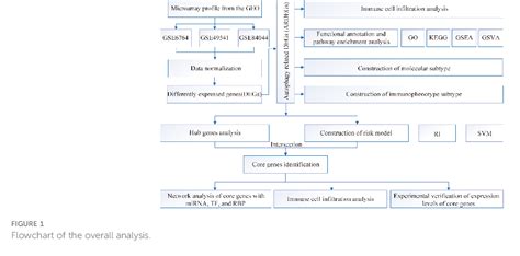 Figure 1 From Machine Learning And Experimental Validation Identified