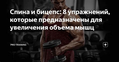 Спина и бицепс 8 упражнений которые предназначены для увеличения