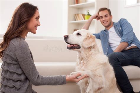 Marido Y Esposa Atractivos Con Su Perrito Lindo Foto De Archivo Imagen De Marido Lifestyle