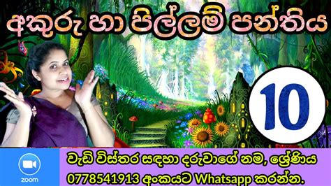 අකුරු හා පිල්ලම් පන්තිය 10 Youtube