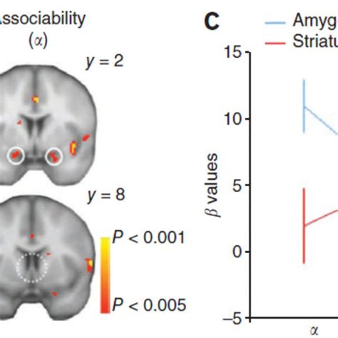 Neural Correlates Of Associability And Prediction Error Term A Bold