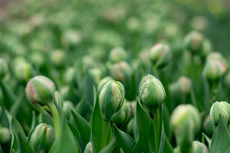 6 Ways To Encode Features For Machine Learning Algorithms By Anthony Cavin Towards Data Science