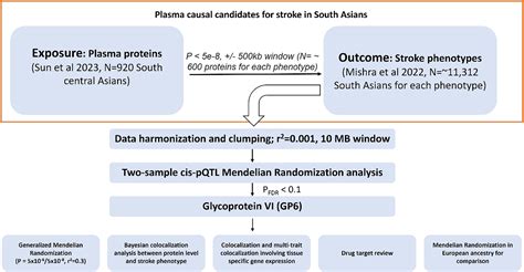 Mendelian Randomization And Bayesian Colocalization Analysis Implicate Glycoprotein Vi As A