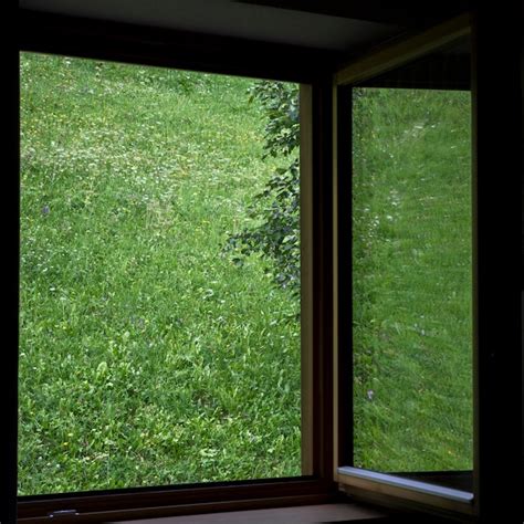 Premium Photo Grassy Field Seen Through Window At Home