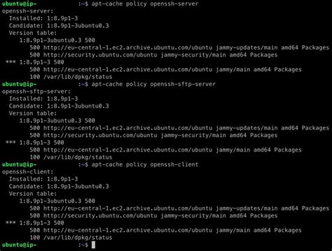 Outshift Detecting Cloud Security Vulnerabilities With Vmclarity