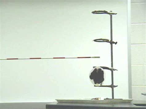 Decomposition Of Nitrogen Triiodide