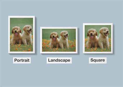 Choosing A Book Orientation Portrait Vs Landscape Vs Square Color Vision Printing