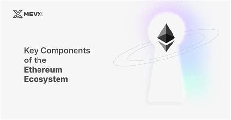 The Ethereum Ecosystem The Worlds Leading Decentralized Platform Platform Trading Bot Mevx