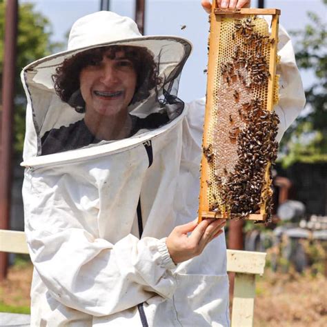 თაფლი თამარისი • Honey Tamarisi