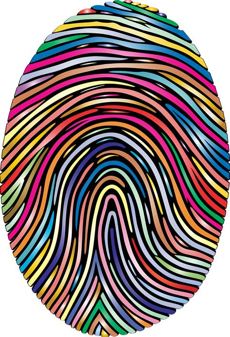 Download Fingerprint Pattern Unique Royalty Free Vector Graphic Pixabay
