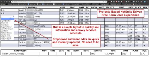 Unleash Netsuites User Interface By Innovating Via The Platform