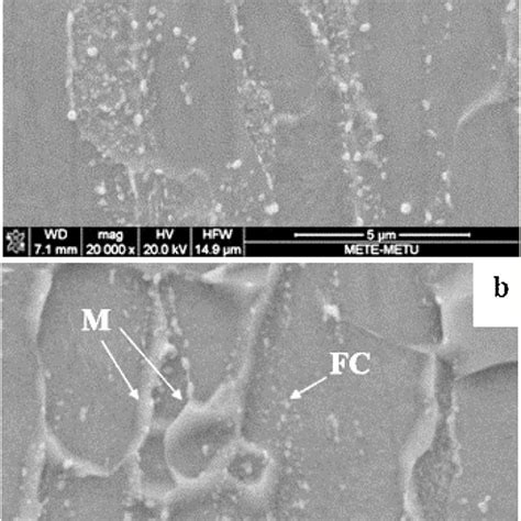 Pdf Recrystallization Grain Growth And Austenite Formation In Cold Rolled Steels During