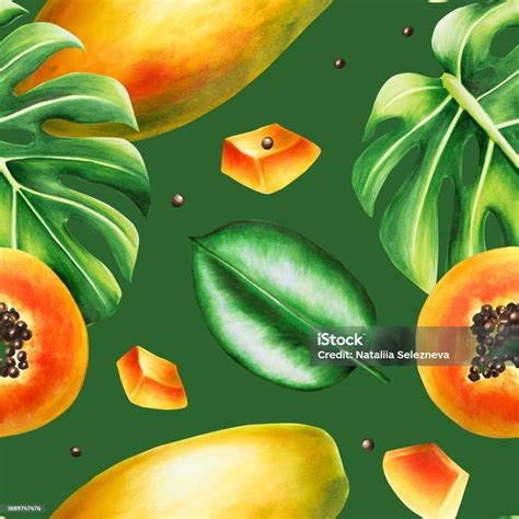 마커 이음새가 없는 패턴 달콤한 잘 익은 파파야 조각 곡물 열대 잎 몬스테라 수채화 스타일의 무화과나무 손으로 그린 사실적인 맛있는 유기 그림 이국적인 열대 과일 배경에