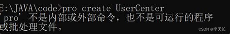 【error】初始化ant Design Pro项目时遇到“pro 不是内部或外部命令”pro Create Myapp Pro 不是