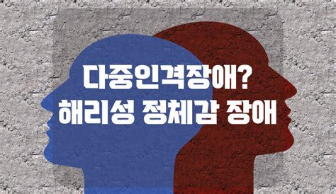 다중인격장애 해리성 정체감 장애 네이버 블로그