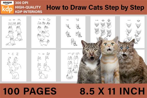 How To Draw Cats Step By Step Graphic By BreakingDots Creative Fabrica