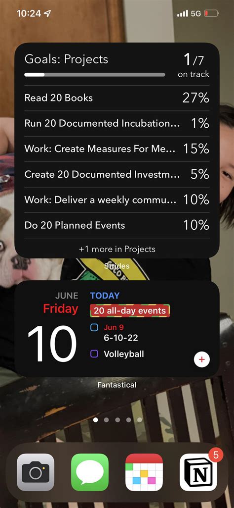 display notion pages as widget on iphone i use a separate app only