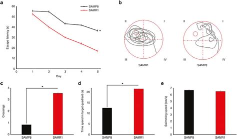 Learning And Memory Deficits In Senescence Accelerated Mouse Prone 8