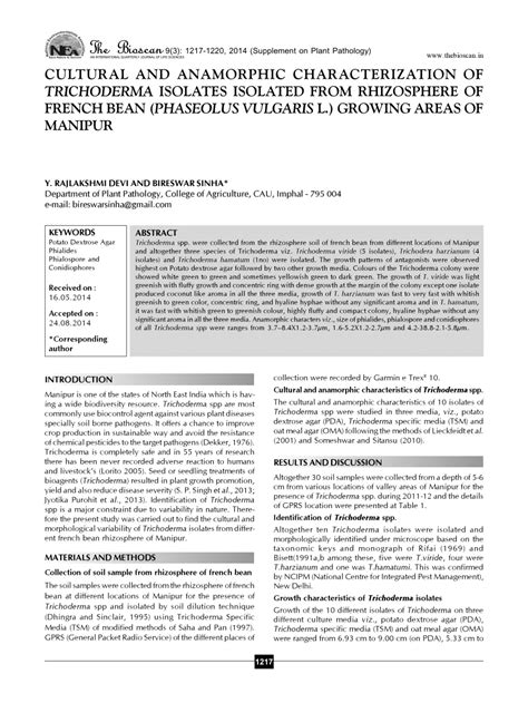 Pdf Cultural And Anamorphic Characterization Of Trichoderma Isolates Isolated From Rhizosphere
