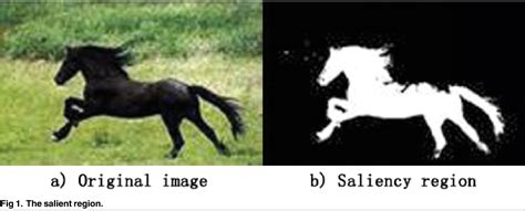 Figure 1 From Salient Object Segmentation Based On Active Contouring