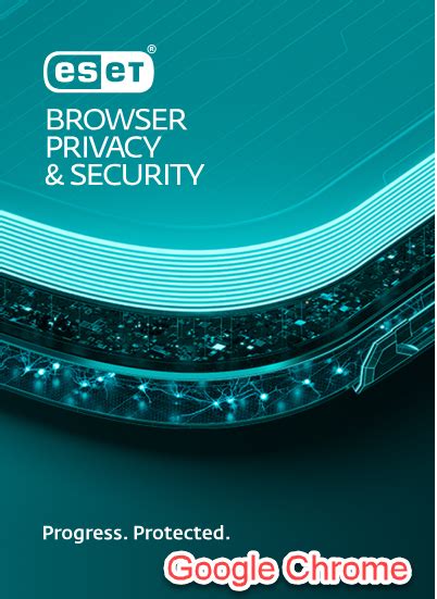 Eset Browser Privacy And Security Extension Not Yet Working Connection Lost Eset Internet