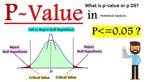 Fields Of Psychology Top 5 Best Branches You Should Know