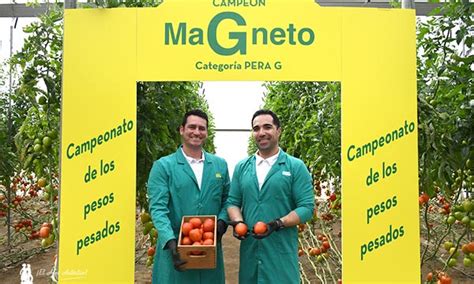 Tomato Experience 2023 Resistencias A Rugoso Y Nuevas Marcas Como Wabi
