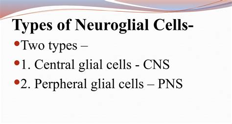 Nervous System Neuron And Neuroglial Cells Structure Of Neuron And Types Of Neuroglial Cells Ppt