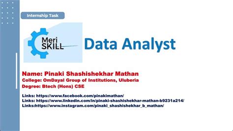 Meriskill Intern Pinaki Sales Data Analysis Task 1 Youtube